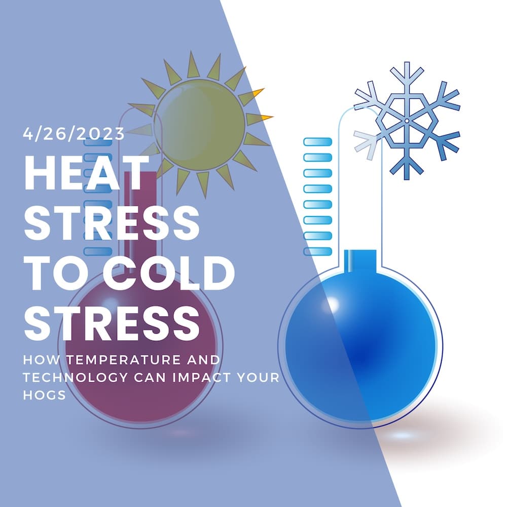 From Heat Stress to Cold Stress: How Temperature and Technology Can ...