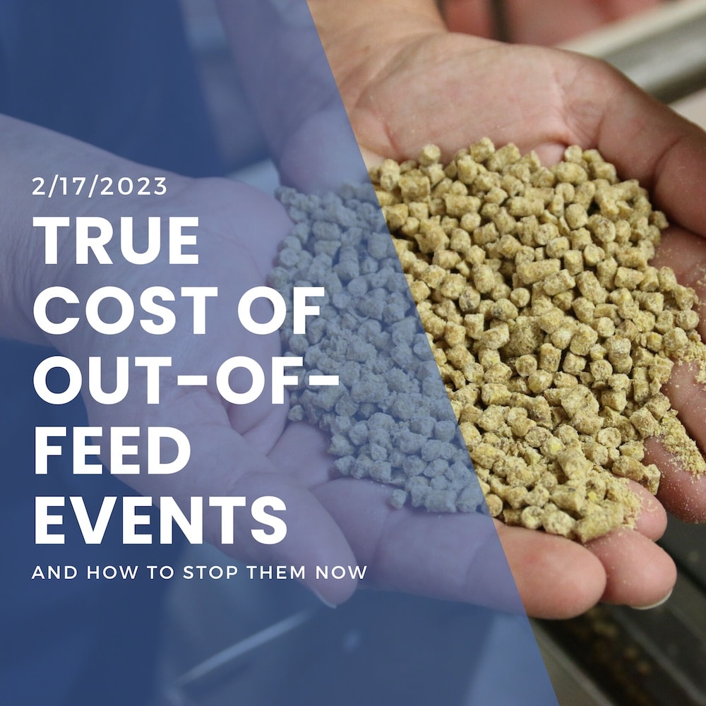 The True Cost of Out-of-Feed Events - And How to Stop Them NOW - Distynct
